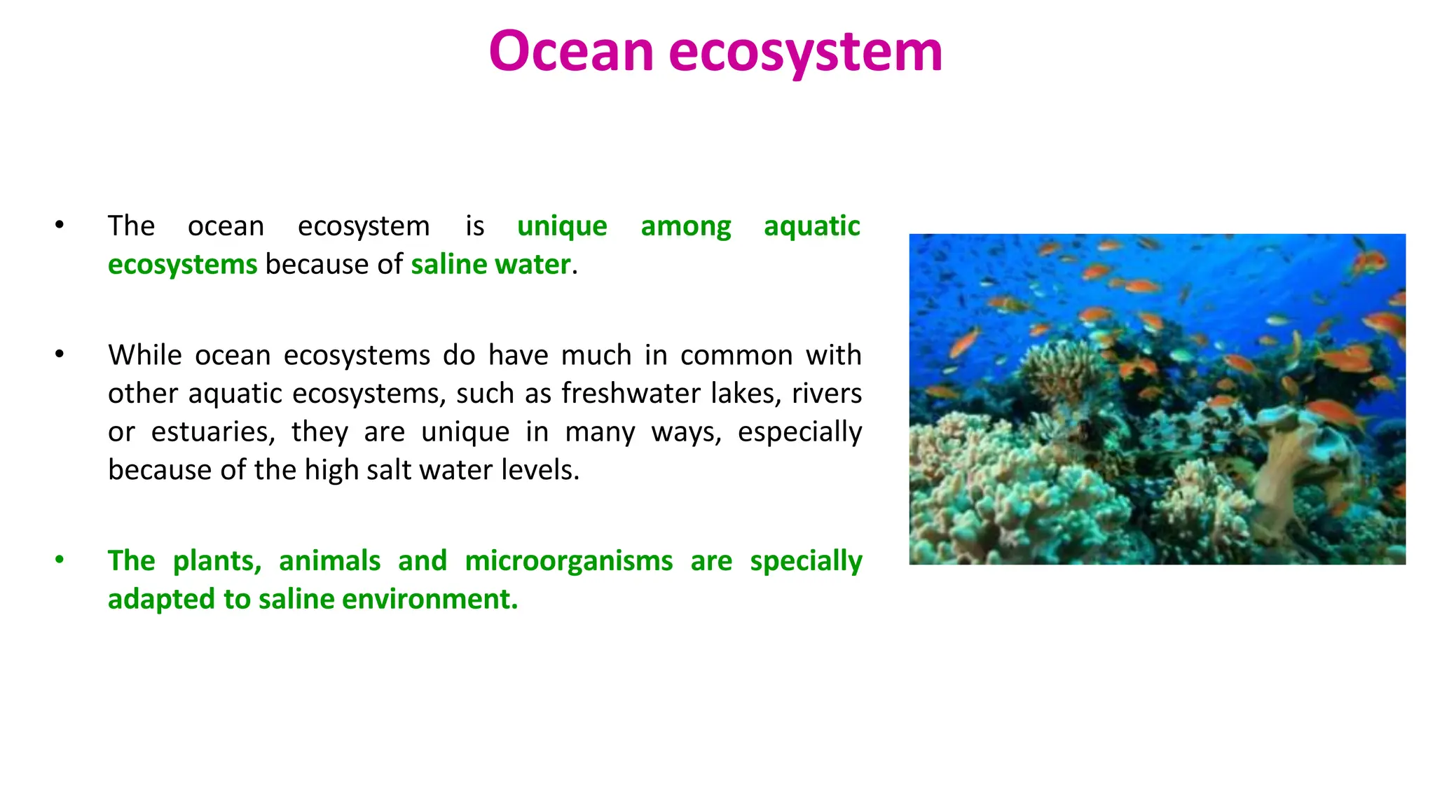 Ecosystem Types.pptx