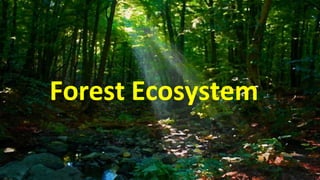 Ecosystem Types.pptx