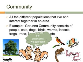 Ecosystem Unit | PPTX