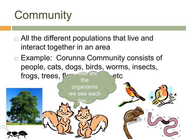 Ecosystem Unit | PPT