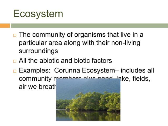 Ecosystem Unit | PPT