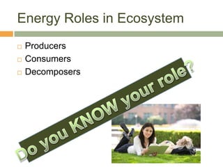 Ecosystem Unit | PPTX