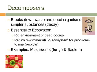 Ecosystem Unit | PPT