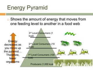Ecosystem Unit | PPTX