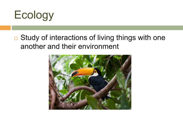 Ecosystem Unit | PPT