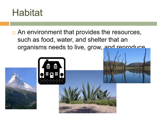 Ecosystem Unit | PPT