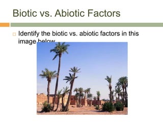 Ecosystem Unit | PPT