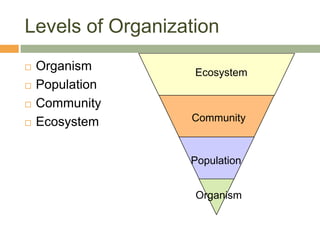 Ecosystem Unit | PPT