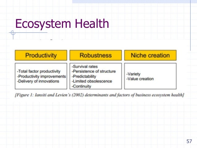 Understanding Software Ecosystems