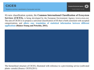 Ecosysytem services&classification | PPTX