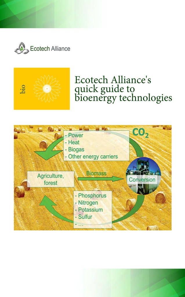 Ecotech alliance quick guide to bioenergy technologies | PDF ...