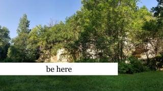 Ecotherapy - Forest Bathing | PPTX