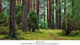 Ecotherapy - Forest Bathing | PPTX