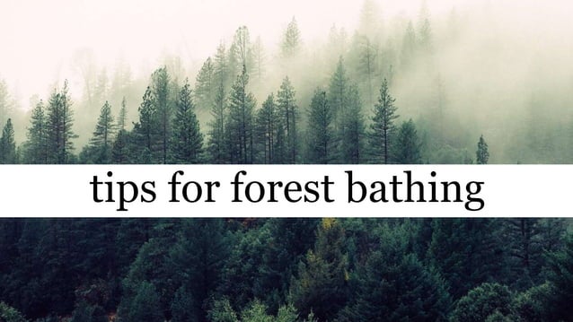 Ecotherapy - Forest Bathing | PPTX | Medical Health