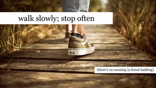 Ecotherapy - Forest Bathing | PPTX