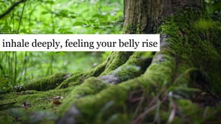 Ecotherapy - Forest Bathing | PPTX