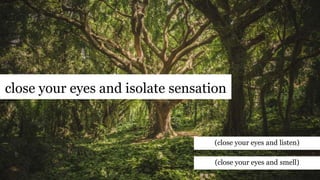 Ecotherapy - Forest Bathing | PPTX