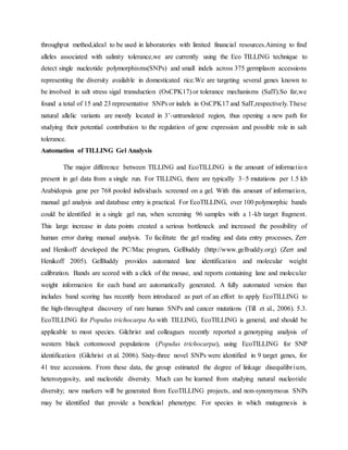 TILLING- Eco tilling | DOCX