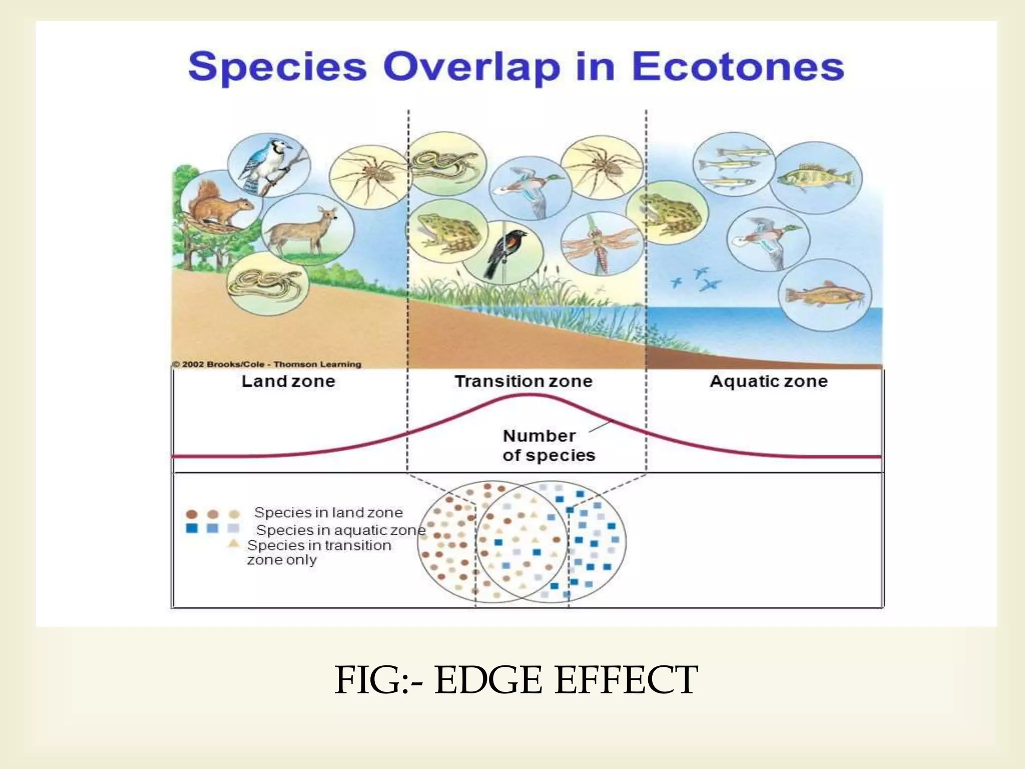 ecotone.pptx