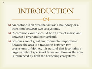 ecotone.pptx