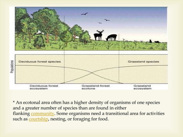 ecotone.pptx | Geography | Science