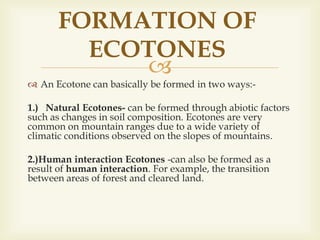ecotone.pptx