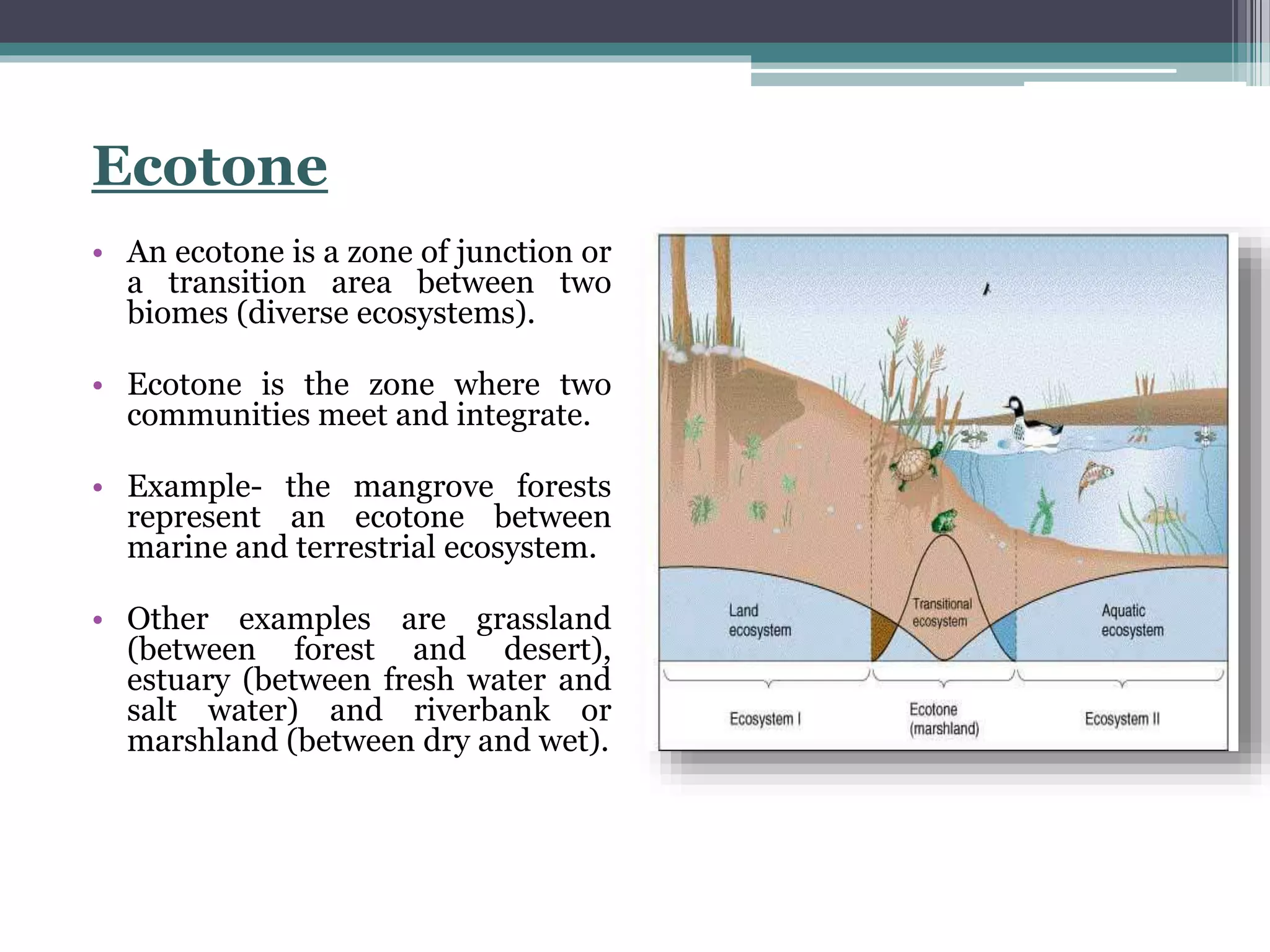 Ecotone and edge effect | PPTX