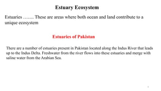 Environmental biology topic Ecotonebk.pptx