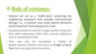 Ecotones | PPTX