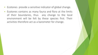 Ecotones | PPTX