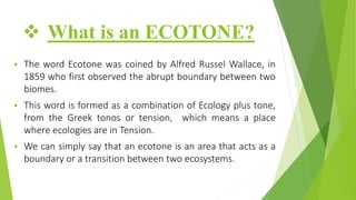 Ecotones | PPTX