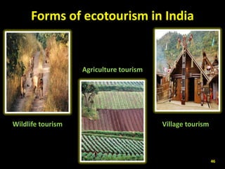 Ecotourism | PPTX
