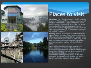 Ecotourism | PPTX