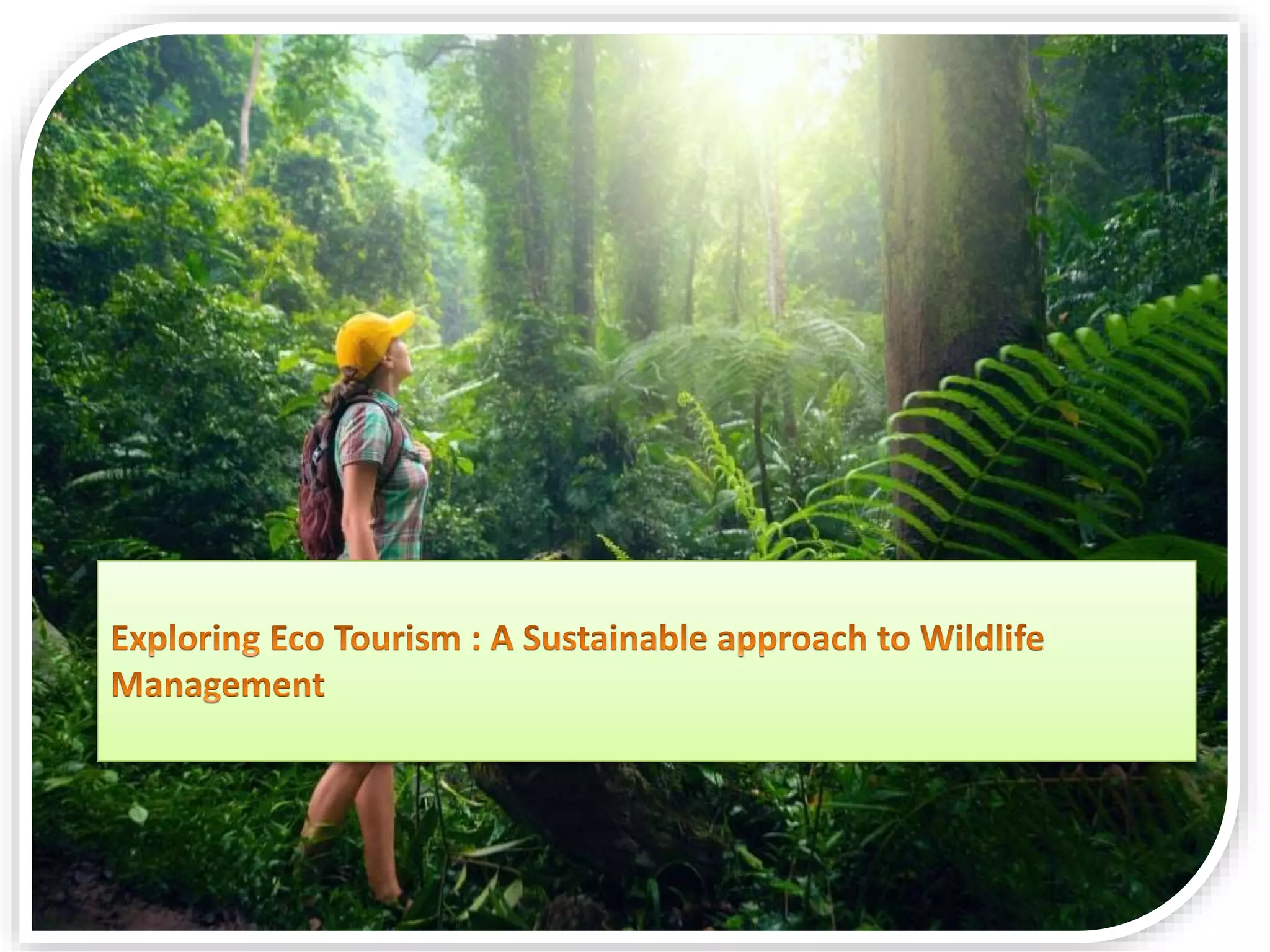 Eco Tourism.pptx