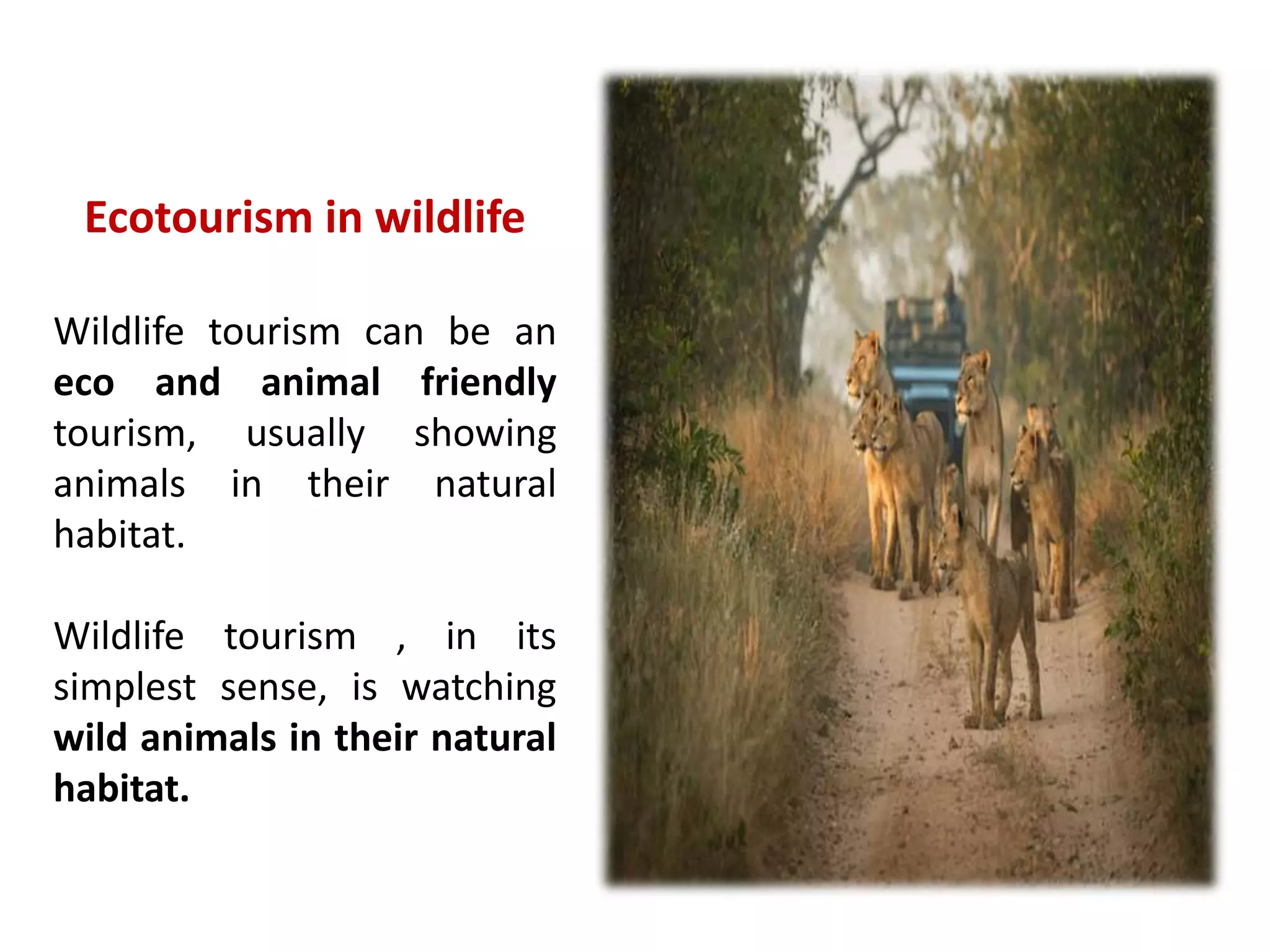 Eco Tourism.pptx