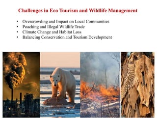 Eco Tourism.pptx