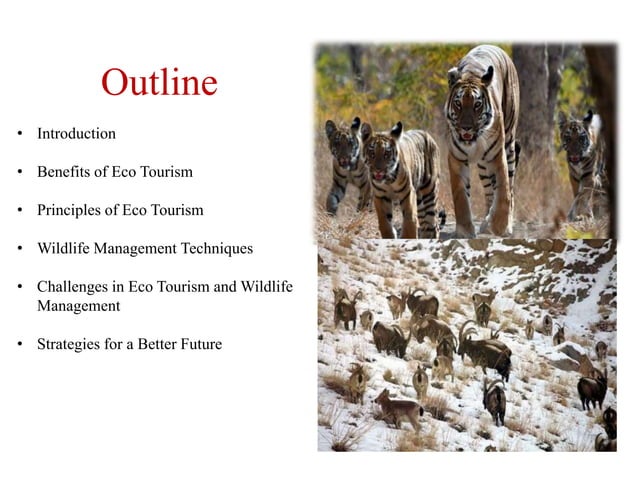 Eco Tourism.pptx