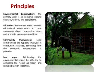 Eco Tourism.pptx