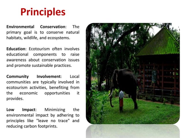 Eco Tourism.pptx