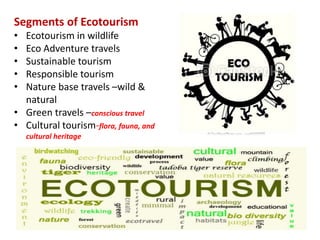 Eco Tourism.pptx