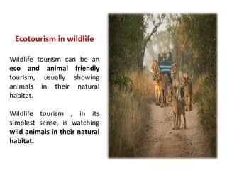 Eco Tourism.pptx