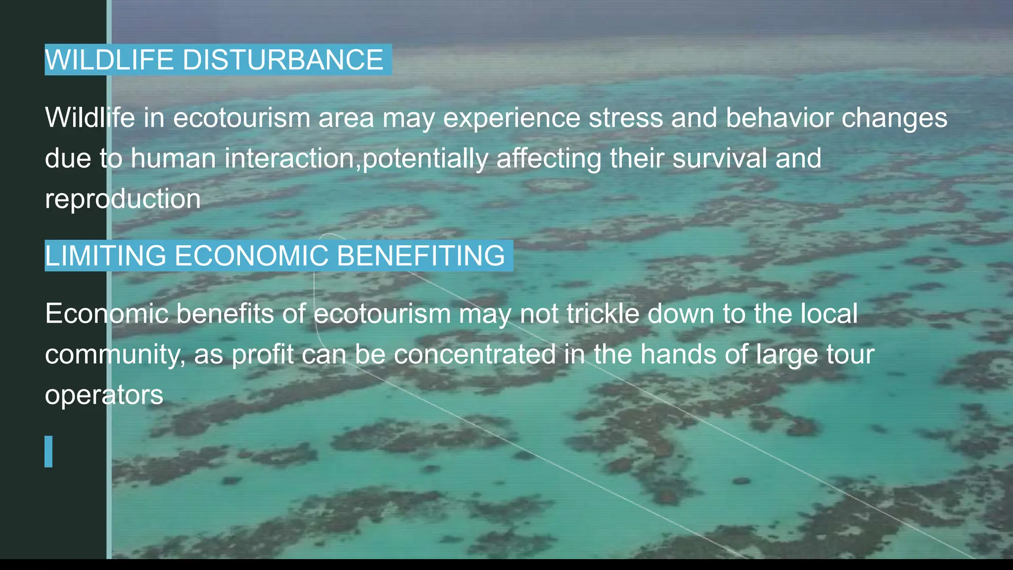 ecotourism.pptx