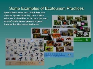 In-Depth Exploration of Eco-Tourism Principles and Practices | PDF