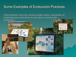 In-Depth Exploration of Eco-Tourism Principles and Practices | PDF