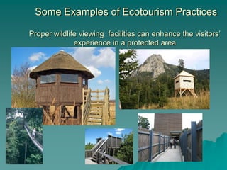 In-Depth Exploration of Eco-Tourism Principles and Practices | PDF