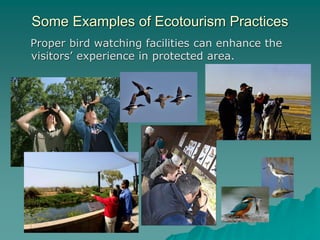 In-Depth Exploration of Eco-Tourism Principles and Practices | PDF