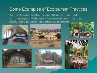 In-Depth Exploration of Eco-Tourism Principles and Practices | PDF