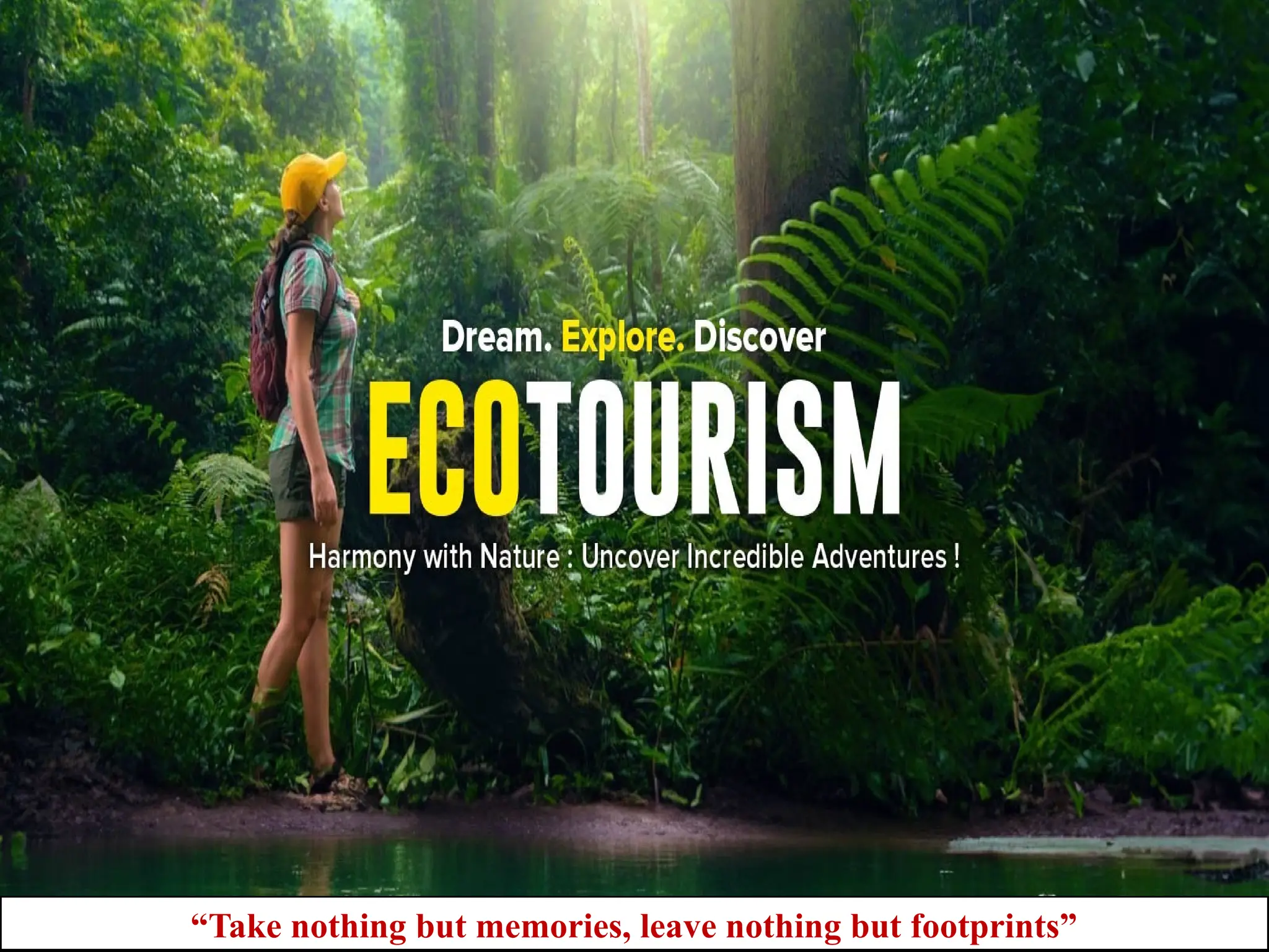 ecotourism in uttar pradesh forest areas.pptx