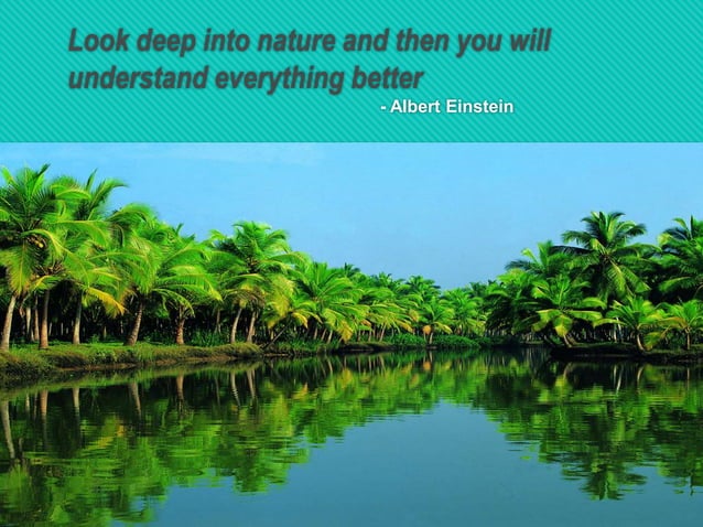 ECOTOURISM OPPORTUNITIES AND CHALLENGEs | PPTX
