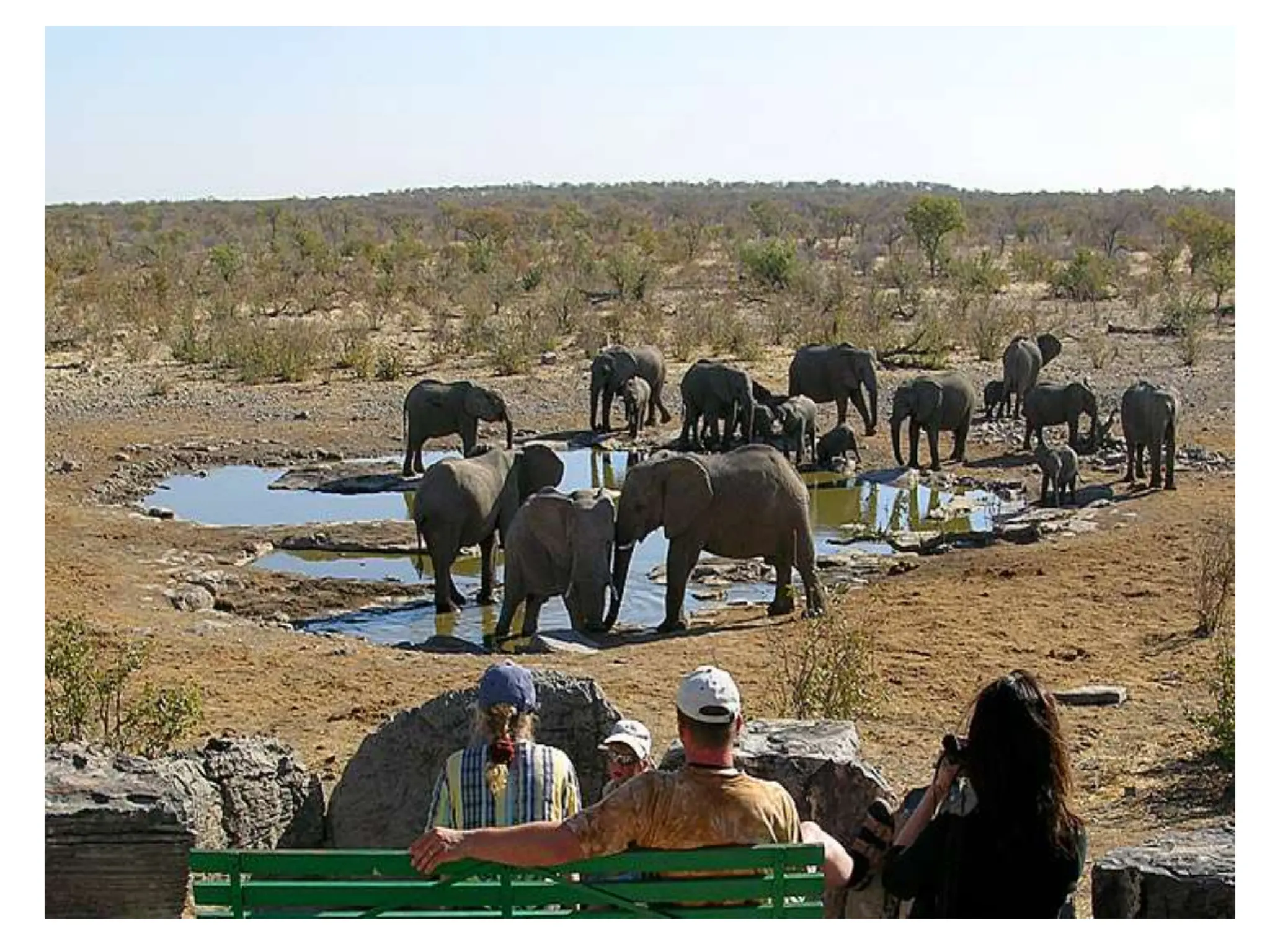 ecotourism benefits and types of ecotourism | PPTX | Africa Travel ...